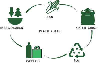 Why do we need to use Eco-friendly Biodegradable plastics? Insight into ...